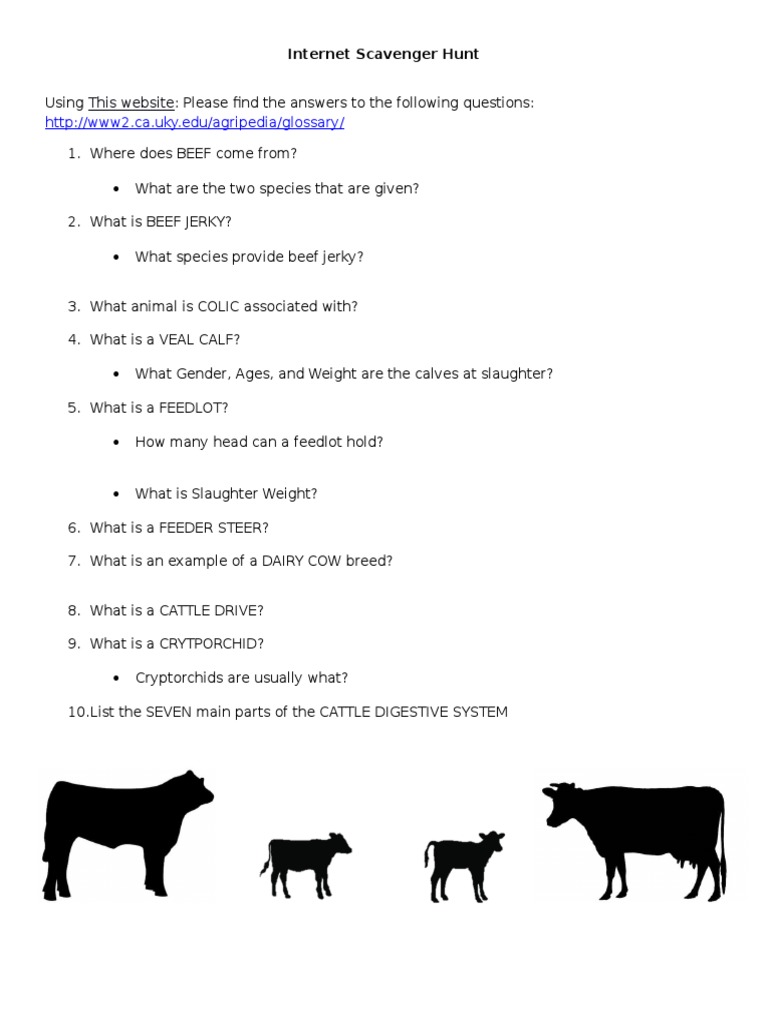 Internet Scavenger Hunt | PDF