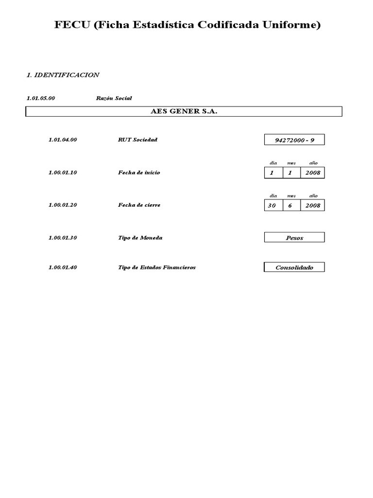 FECU Gener PDF | PDF | Amortización (Negocio) | Contabilidad