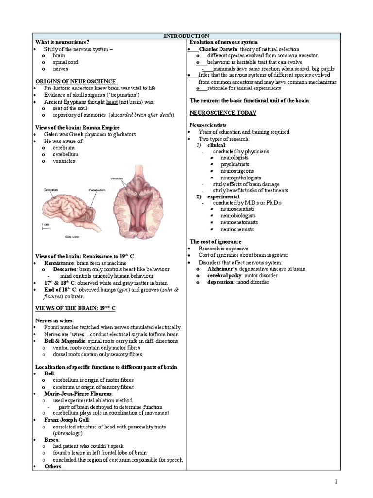 Neuroscience Notes | Download Free PDF | Chemical Synapse ...