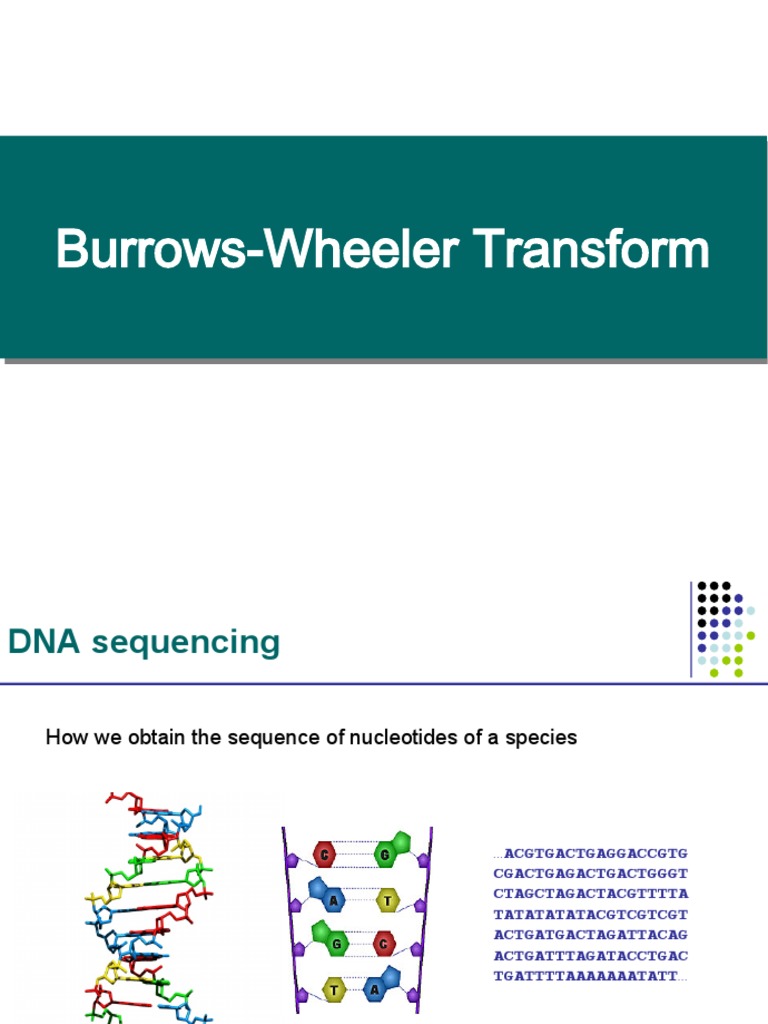 Burrows-Wheeler Transform | PDF | Sequence Alignment | Biological ...