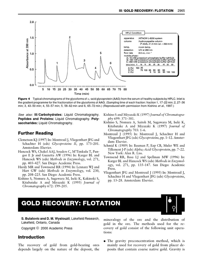 Gold Recovery - Flotation PDF | PDF | Gold | Minerals