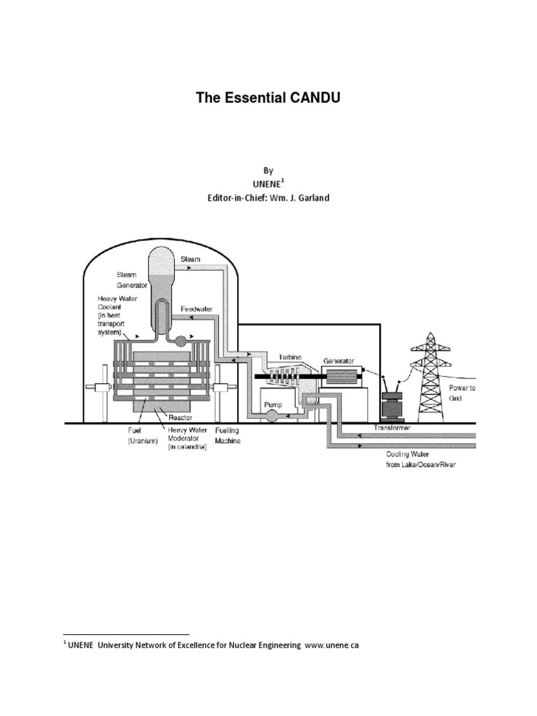 The Essential Can Du | PDF | Nuclear Fission | Neutron