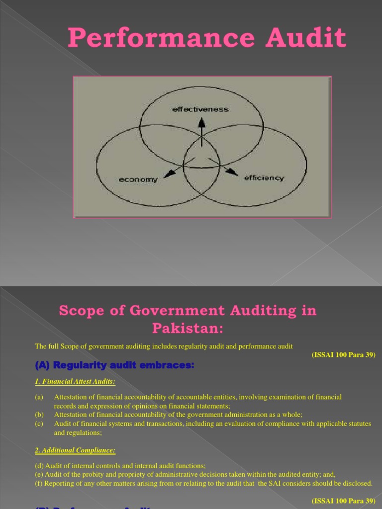 Performance Audit PDF | PDF | Auditor's Report | Audit