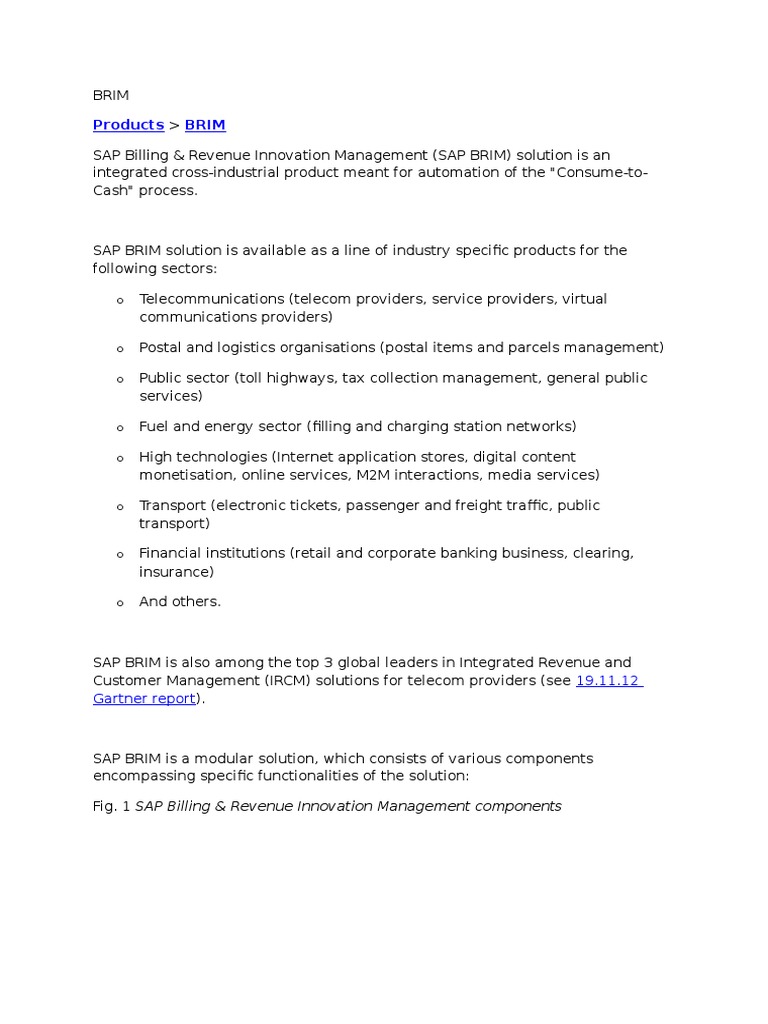 Brim | Download Free PDF | Invoice | Sap Se