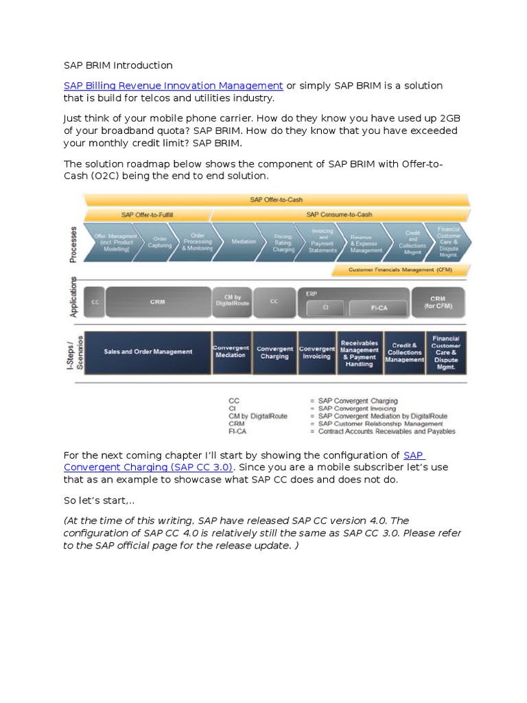 SAP BRIM Introduction | Parameter (Computer Programming) | Debits And ...