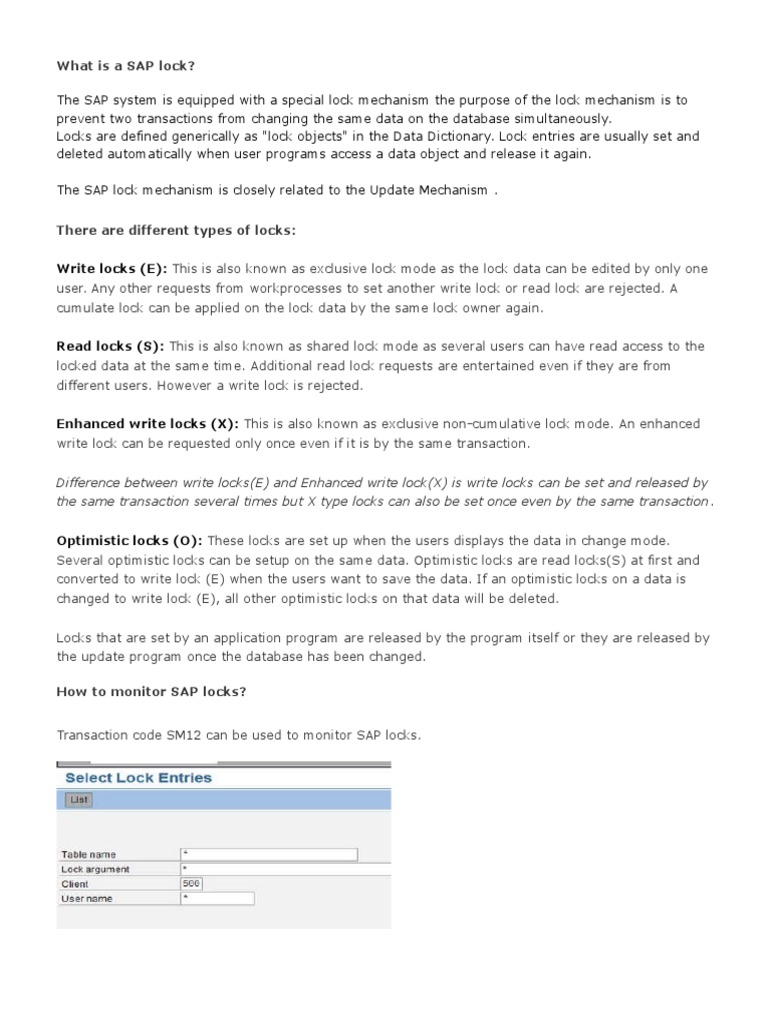 What Is A SAP Lock | PDF | Database Transaction | Parameter (Computer Programming)