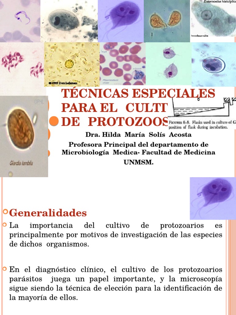 2metodos de Cultivo de Protozoarios | PDF | Biología | Productos quimicos