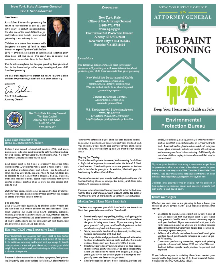 Lead Paint Poisoning PDF | PDF | Lead | Occupational Safety And Health