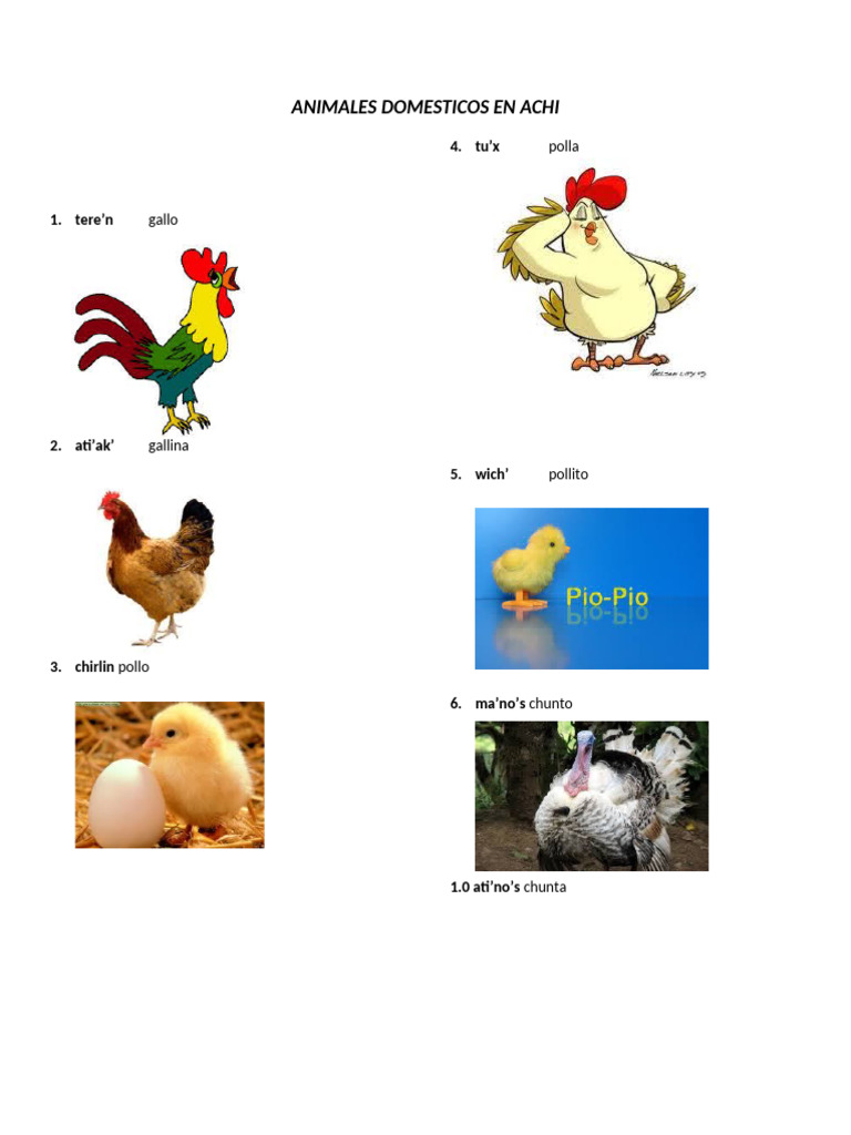 Animales en Achi Ilustrados | PDF