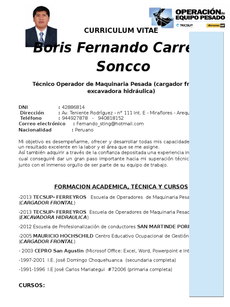 CV de Fernando Word | PDF | Science | Tecnología (general)