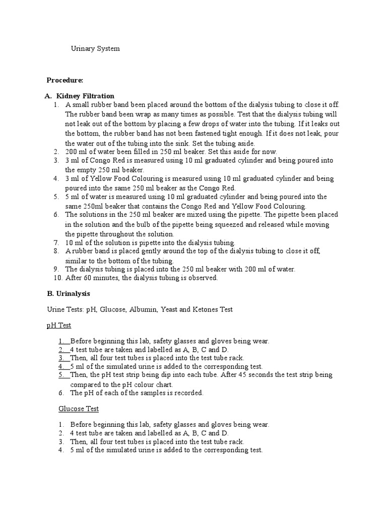 Urinary System Lab: Filtration & Urinalysis | PDF | Urine | Kidney