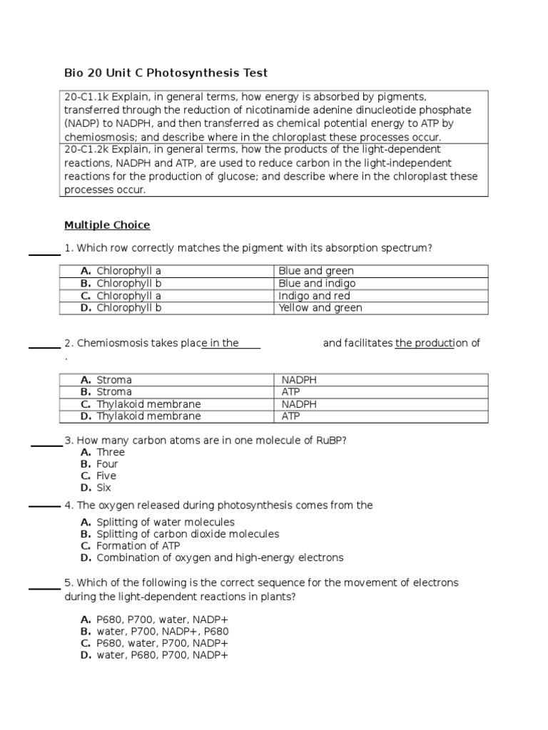 Bio 20 Unit C Photosynthesis Test | PDF | Photosynthesis | Chlorophyll