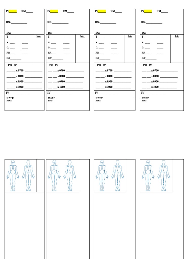 Nursing Student Daily PT Sheet | PDF