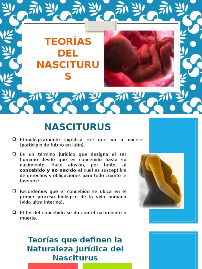 Teorías en torno al Nasciturus | Parto | Subjetividad