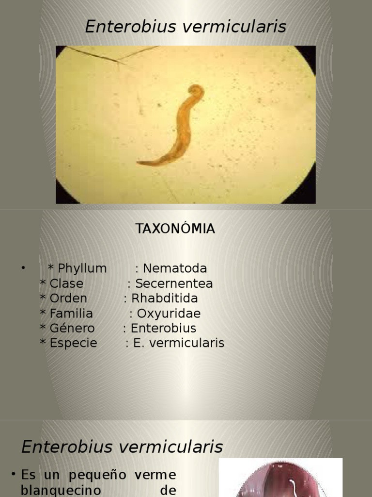 Enterobius Vermicularis | PDF | Especialidades Medicas | Enfermedades y ...