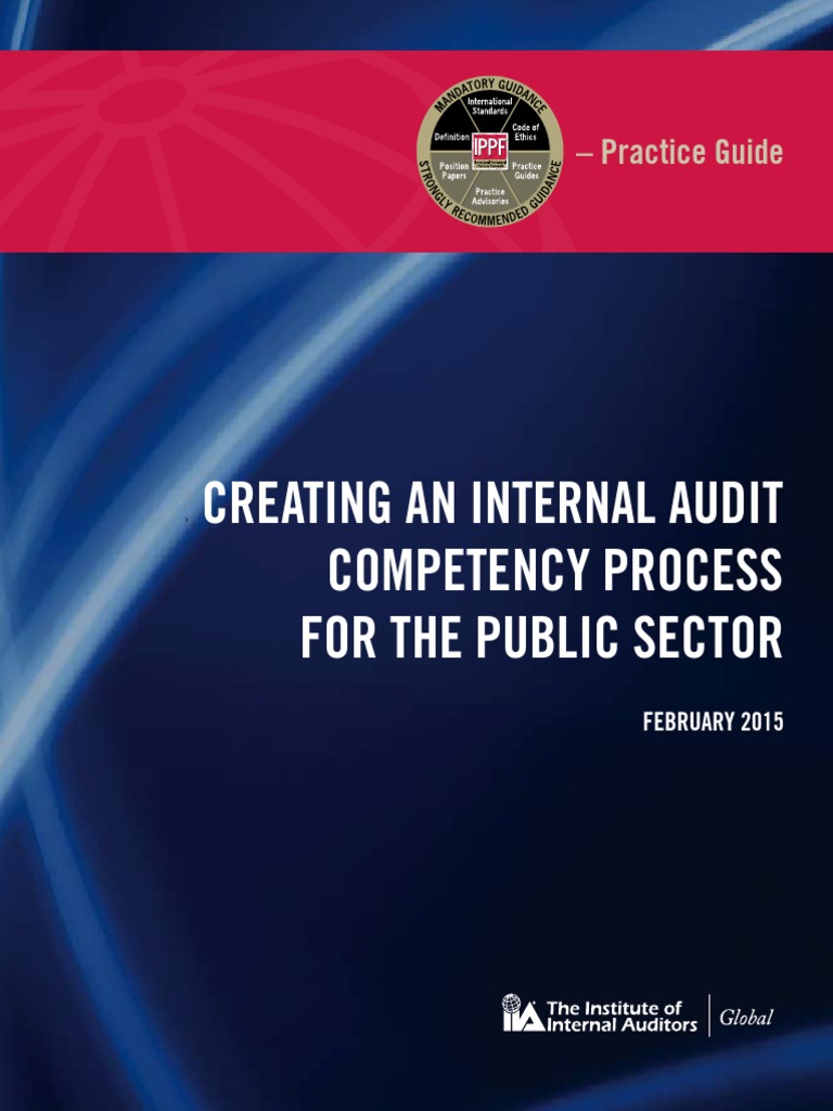 Creating IA Competency in Public Sector | PDF | Internal Audit ...
