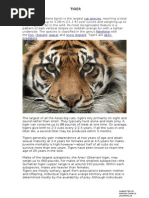 Tiger Anatomy and Skeletal Structure | PDF | Vertebral Column ...