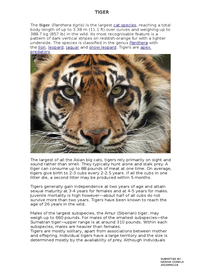Cat Species: Tiger | PDF | Tiger | Conservation
