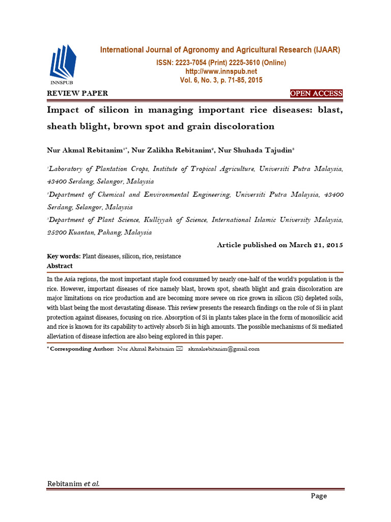 Impact of silicon in managing important rice diseases: blast, sheath ...