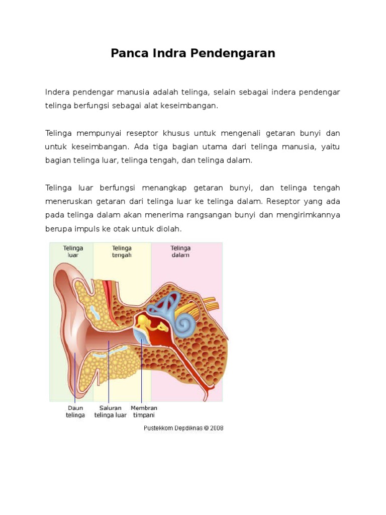 Panca Indra Pendengaran | PDF