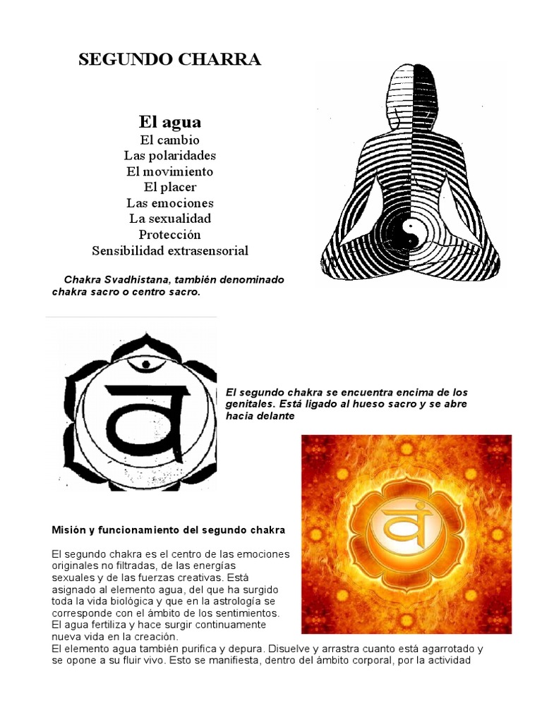 "Guía Completa del Chakra Sacro" | PDF | Chakra | Cerebro