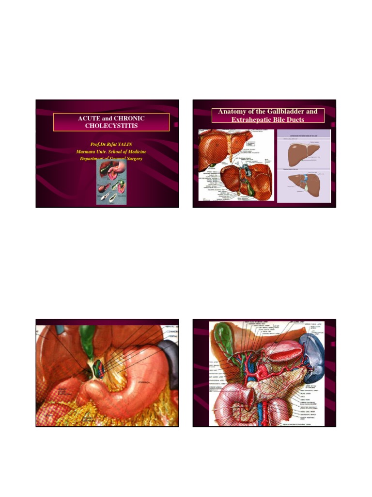 Acute and Chronic Cholecystitis Overview | PDF | Gallbladder | Bile