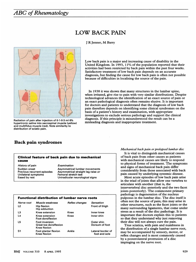 Low Back Pain PDF | PDF | Back Pain | Low Back Pain