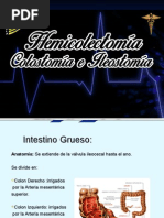 FRUTENZIMA: Usos y Beneficios Clínicos | PDF | Páncreas | Órgano (anatomía)