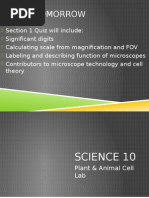Distractor Analysis | PDF | Multiple Choice | Cognition