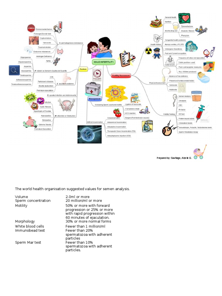 Male Infertility Concept Map | PDF | Science & Mathematics