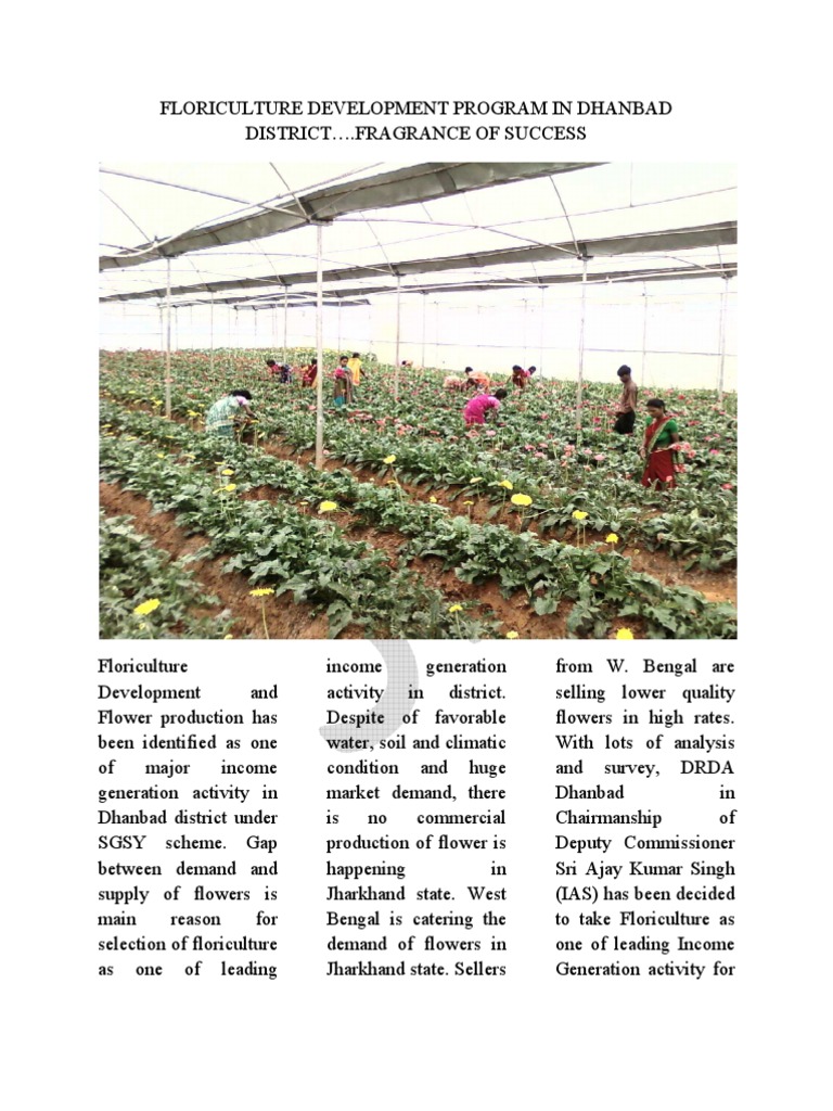Floriculture Success Story | PDF | Reserve Bank Of India | Economies