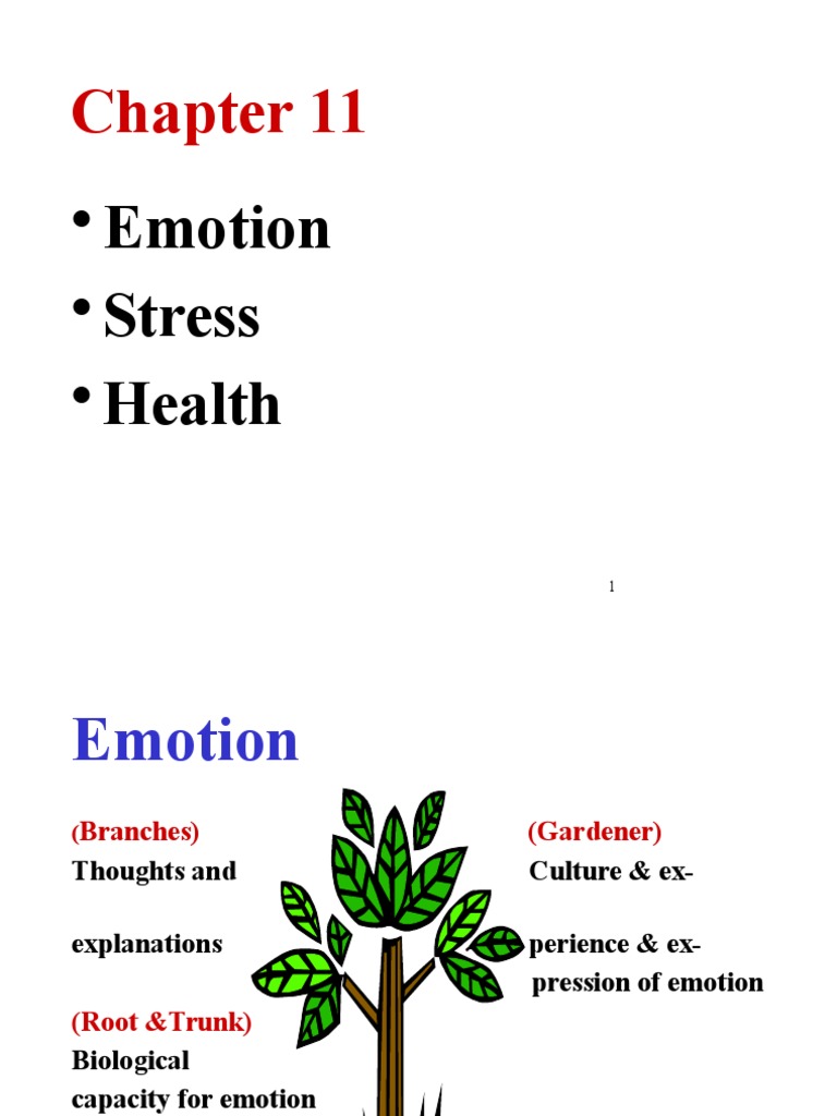 Chapter 11 - Emotions, Stress, and Health | PDF | Lymphocyte | Emotions