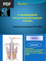 Interprétation RX Rachis Cervical | PDF | Vertèbre | Colonne vertébrale