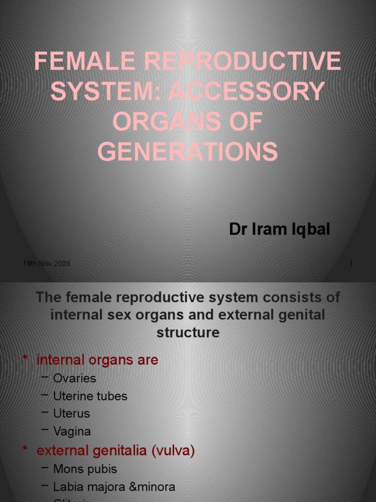 Female Reproductive System: Accessory Organs of Generations: DR Iram ...
