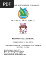 Medio SIM | PDF | Medio de crecimiento | Esterilización (Microbiología)