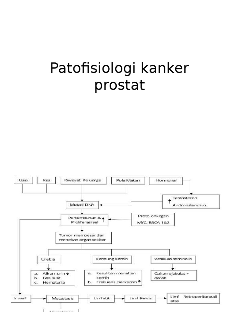 Patofisiologi Kanker Prostat | PDF
