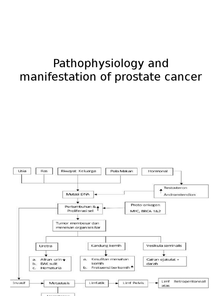 Pathophysiology and Manifestation of Prostate Cancer | PDF | Diseases ...