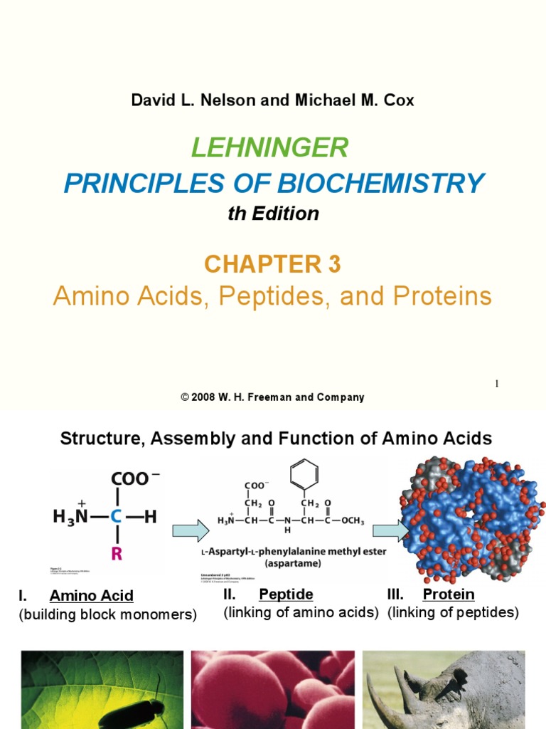 Lehninger: Principles of Biochemistry | PDF | Biosynthesis | Metabolism