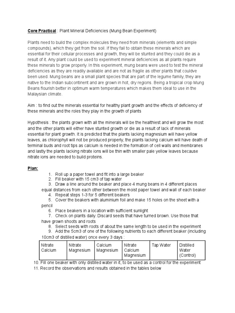 Mung Bean Experiment | PDF | Plants | Magnesium