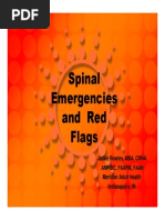 Spinal Red Flags Infographic 1704053180 | PDF | Osteoporosis | Pain