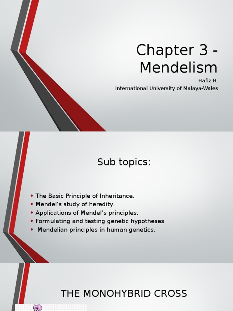 Mendelism: Basics of Inheritance | PDF | Dominance (Genetics) | Allele