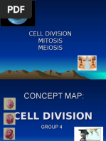 Mitosis Mover Webquest Bioman PDF | PDF | Mitosis | Chromosome