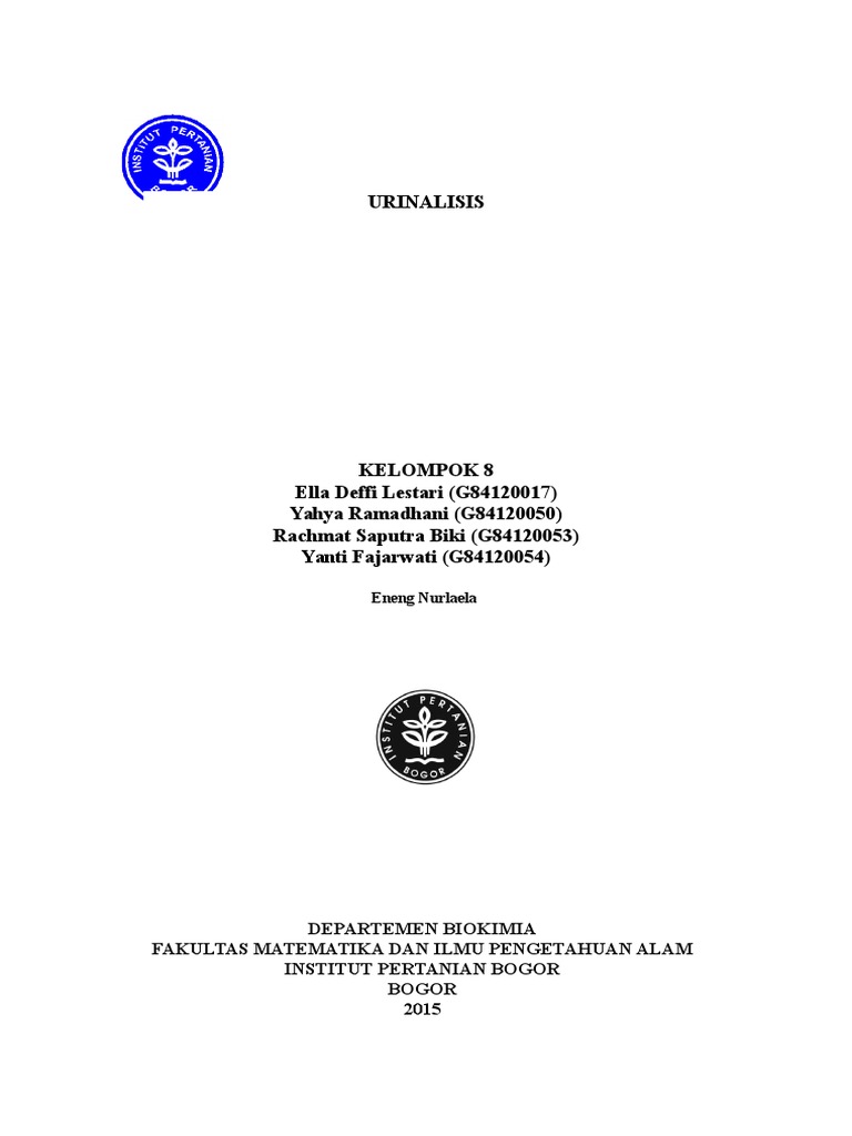 Laporan Biklin Urinalisis | PDF