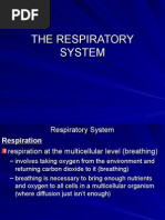 Lesson Plan in Science 6 Organs of The Respiratory System | PDF ...