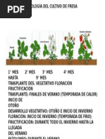 Etapas Fenológicas de La FRAMBUESA | PDF | Nutrientes | Raíz