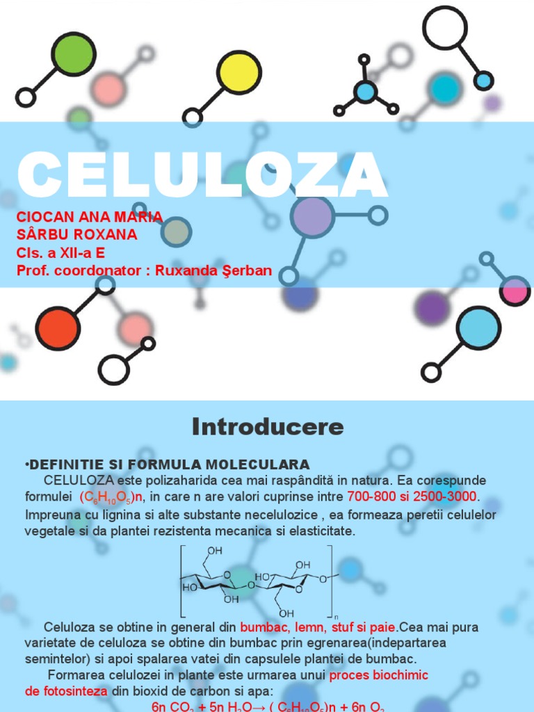 CELULOZA.ppt