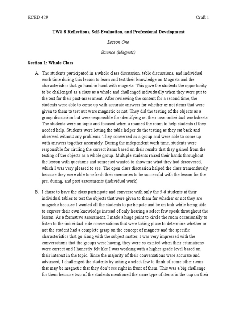 Tws 8 Reflections Craft | PDF | Lesson Plan | Educational Assessment