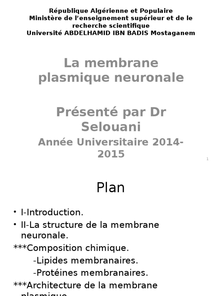 02-La Membrane Plasmique Neuronale | PDF | Membrane (biologie ...