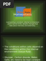 Homeostasis Notes Grade 12 | PDF | Homeostasis | Kidney