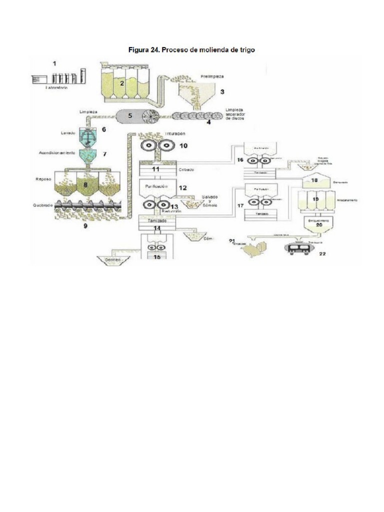 Elaboracion de Harina de Trigo